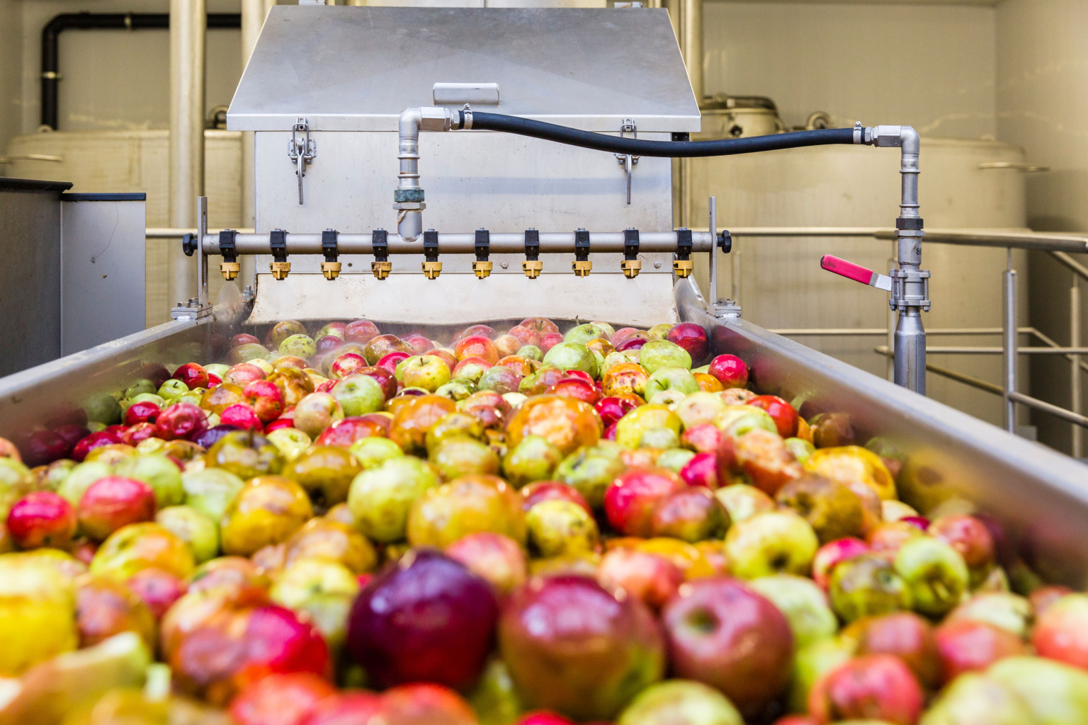 Jubiläum 30 Jahre RAMSEIER Aachtal | RAMSEIER