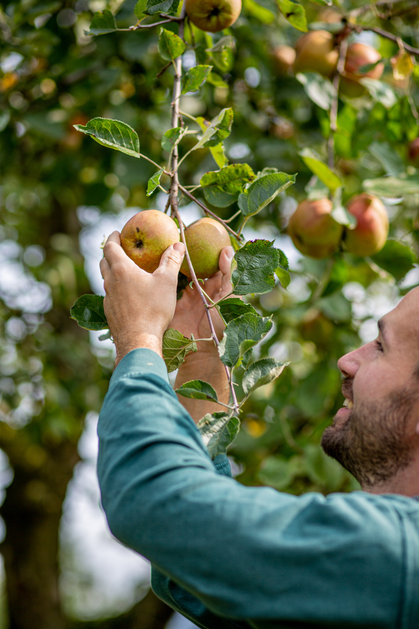 Ruedi Müller- «Geht nicht, gibt's nicht» | RAMSEIER